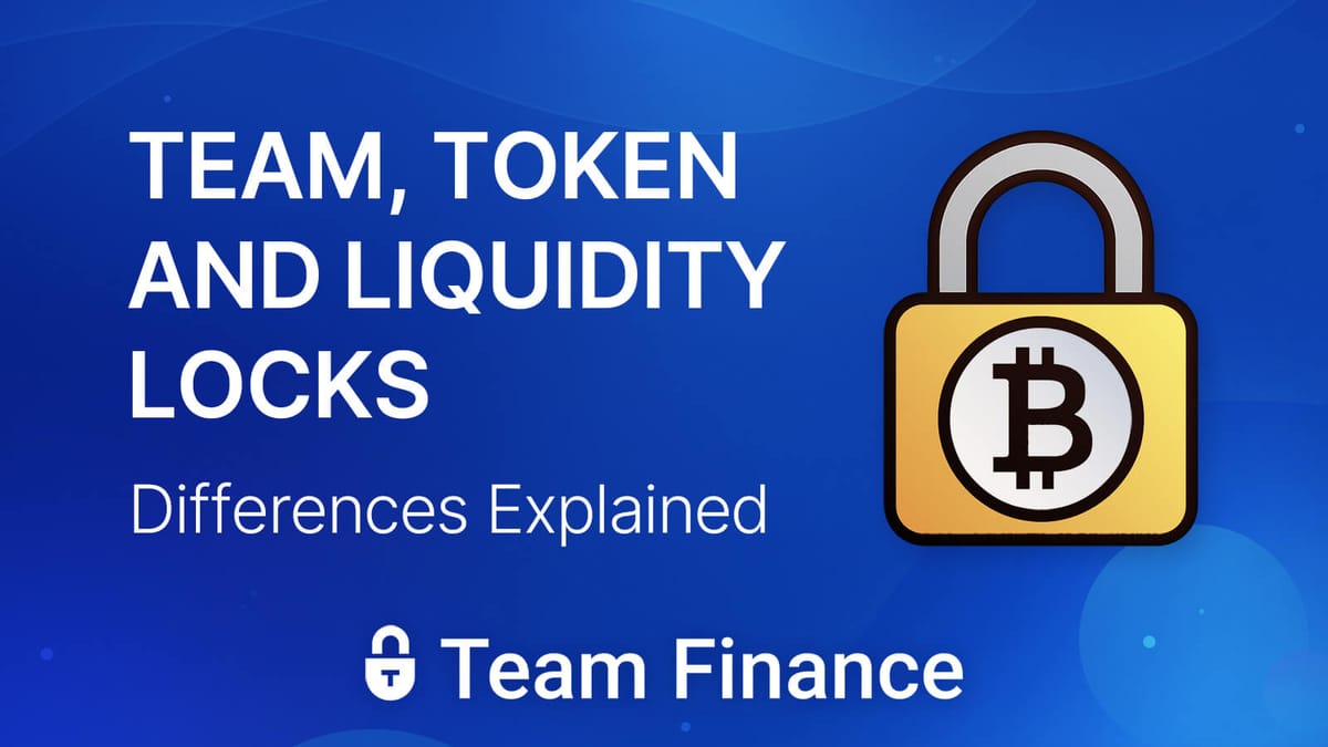 Team vs Liquidity vs Token Locks - Differences Explained